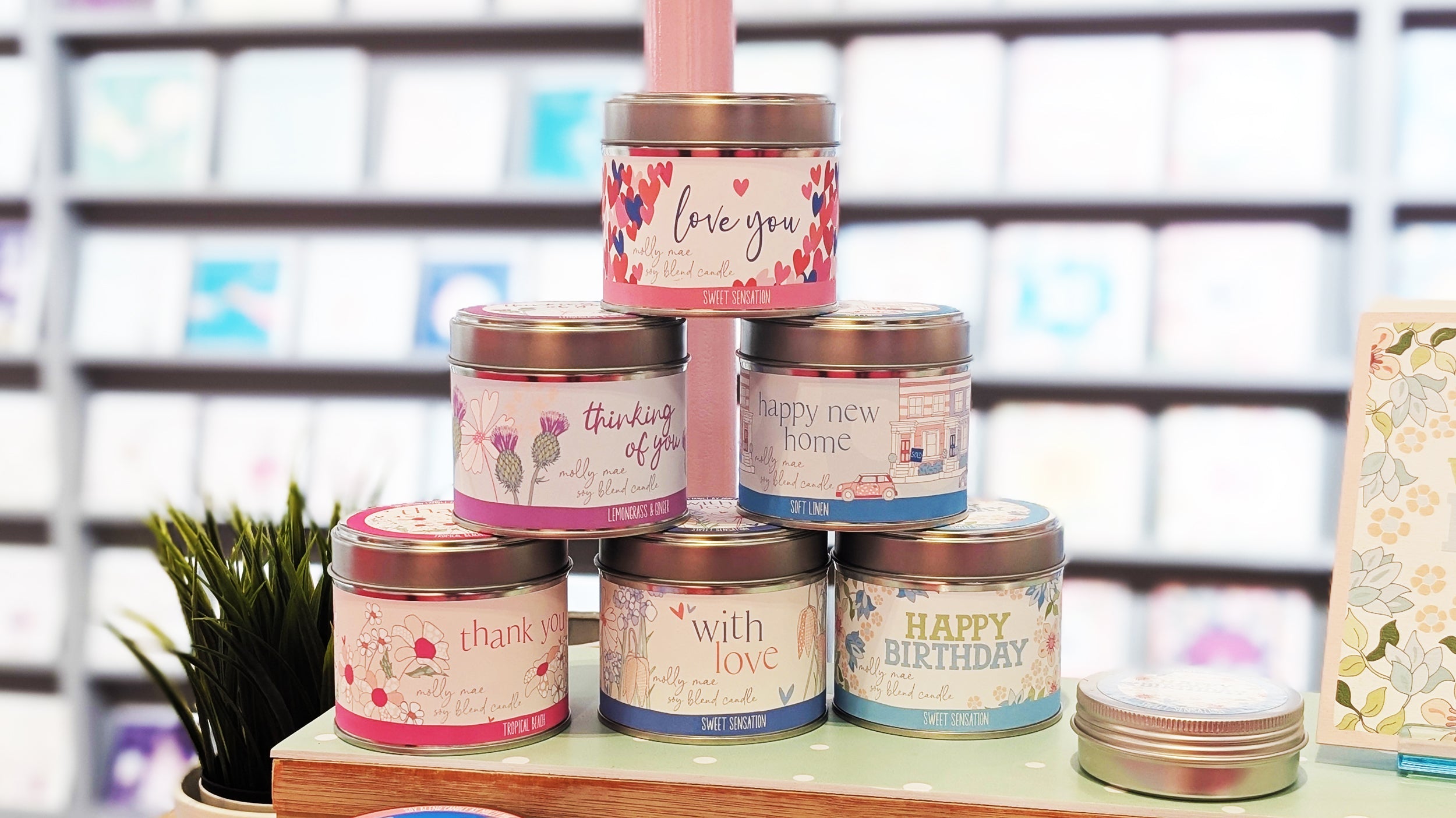 Molly Mae 'Scents with Sentiments' | Candles & Wax Melts | Wholesale ...